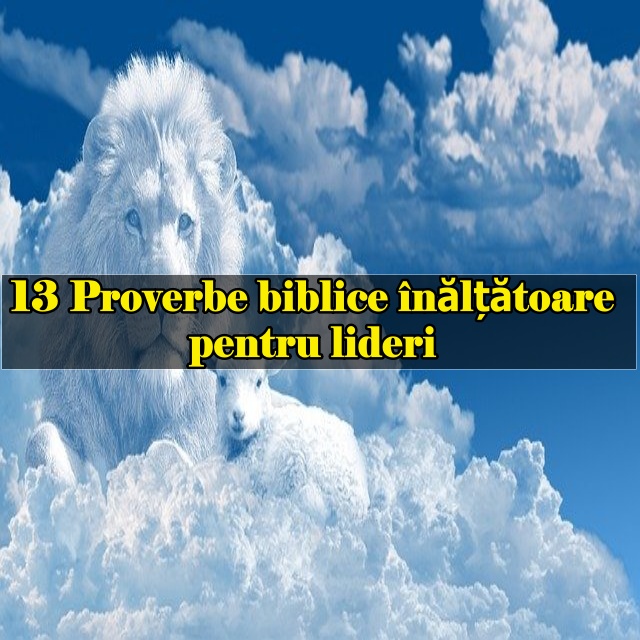13 Proverbe biblice înălțătoare pentru lideri - Calea Ingusta