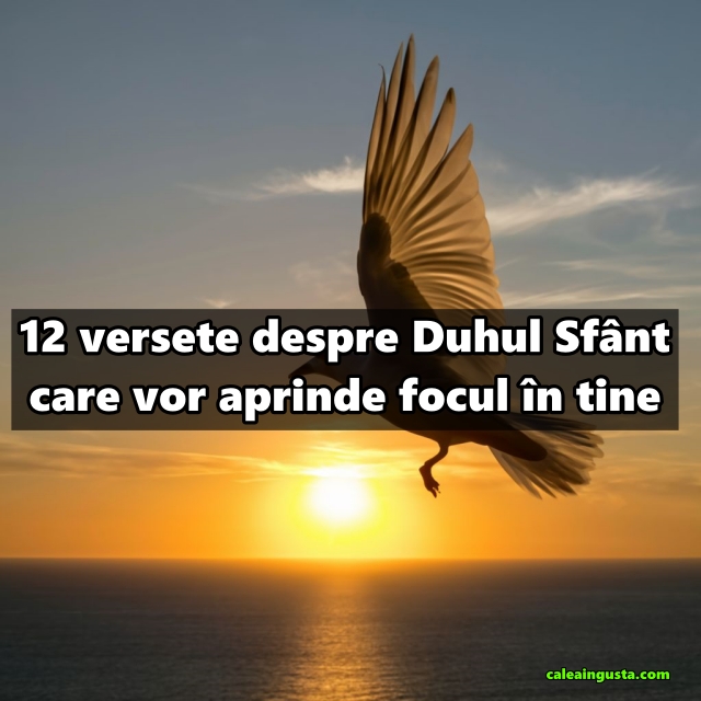 12 versete despre Duhul Sfânt care vor aprinde focul în tine - Calea ...