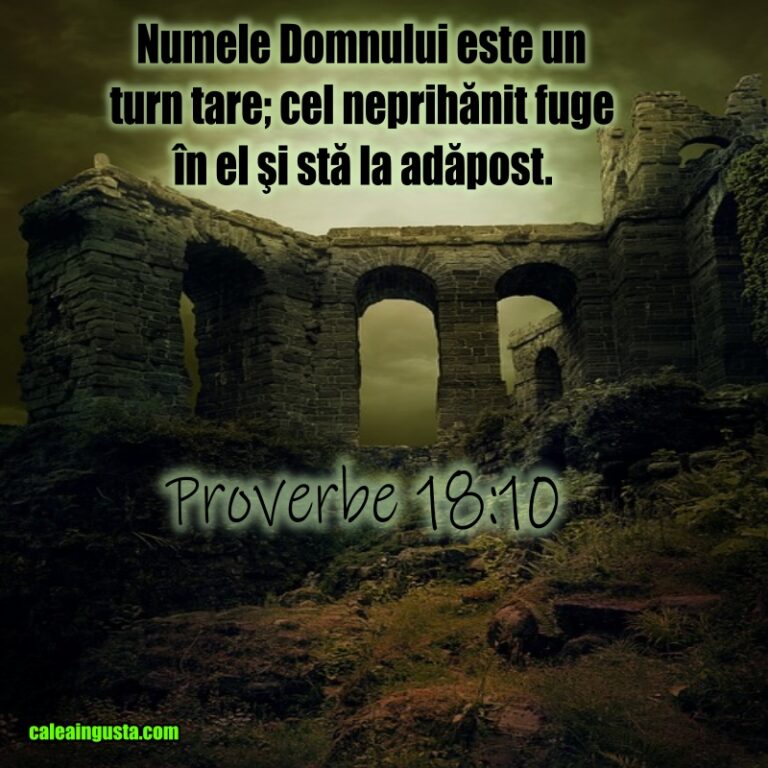 17 versete biblice de încurajare pentru vremuri dificile - Calea Ingusta
