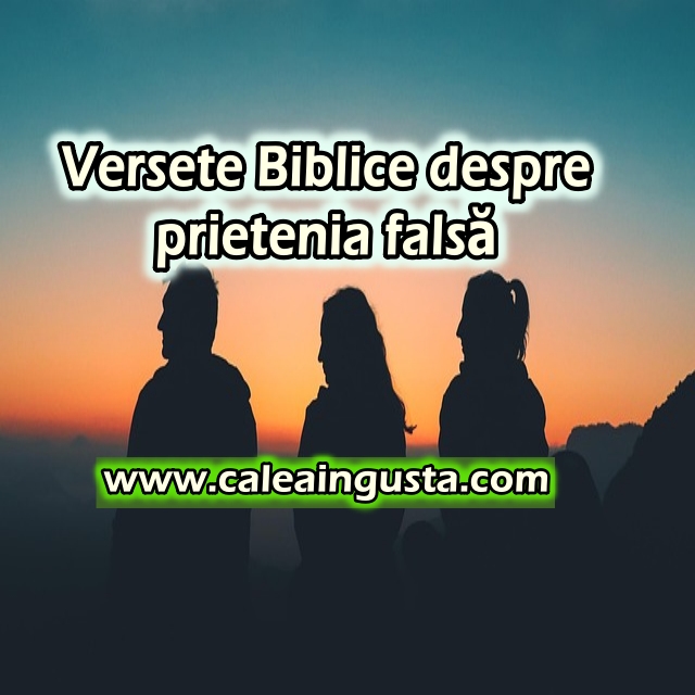8 Proverbe biblice despre muncă - Calea Ingusta